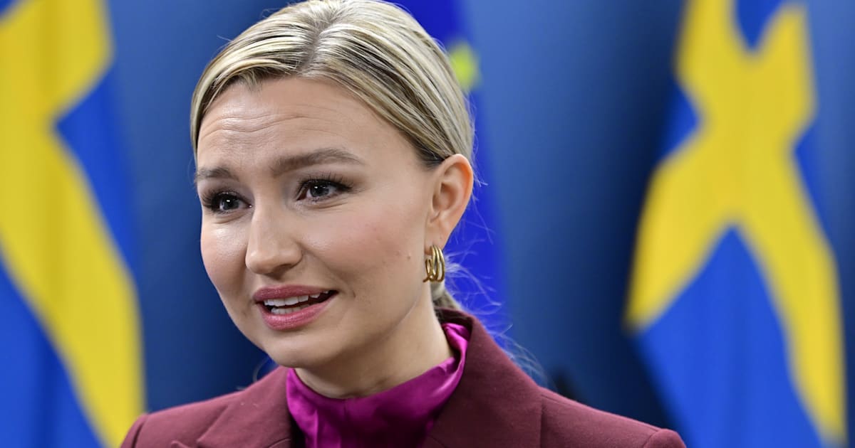 Ebba Busch: Elstödet är inte en perfekt modell