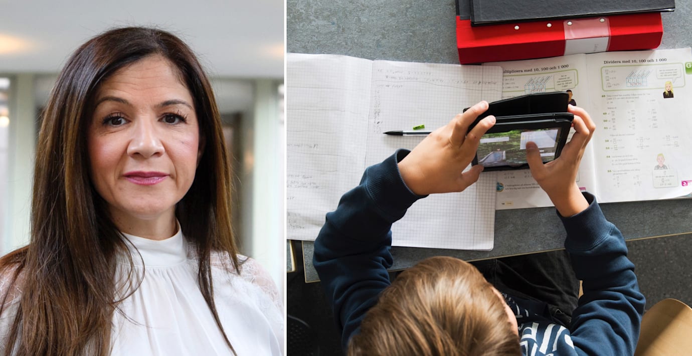 Avci (L): ”Antipluggkultur hotar elevernas framtid”