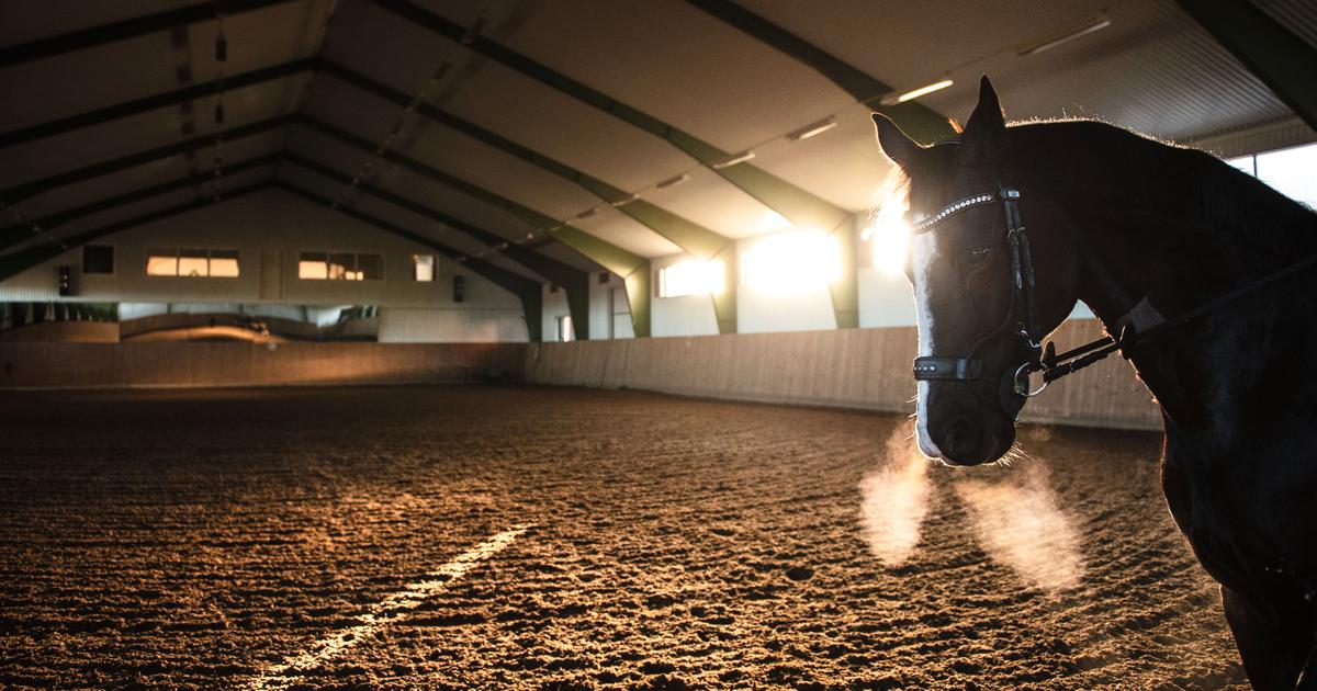 Landslagsryttare Avstängd Efter Anmälda övergrepp