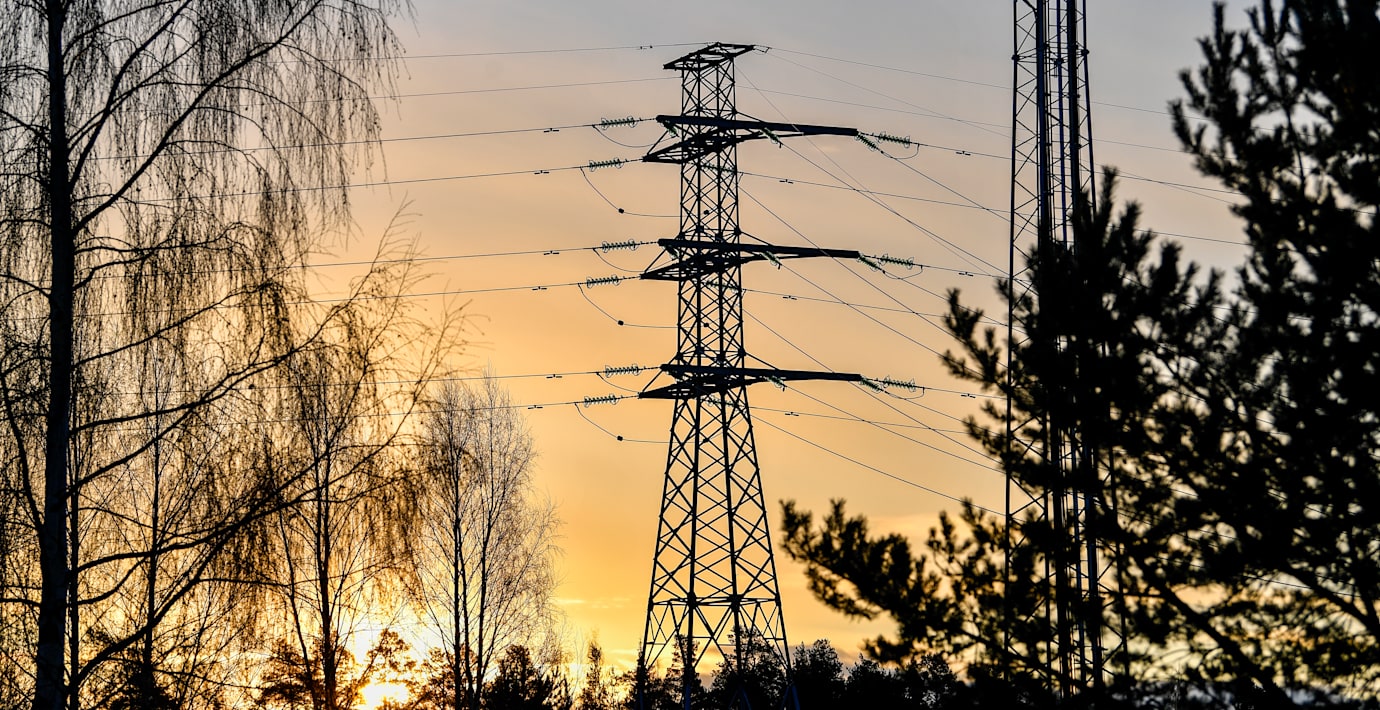 Svenskt Näringsliv: Högt elpris hotar klimatprojekt