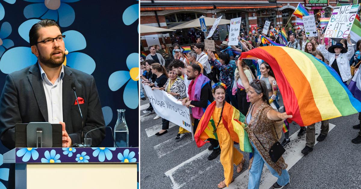 SD vill slopa första maj och reglera regnbågsflaggan SD vill slopa första maj och reglera regnbågsflaggan