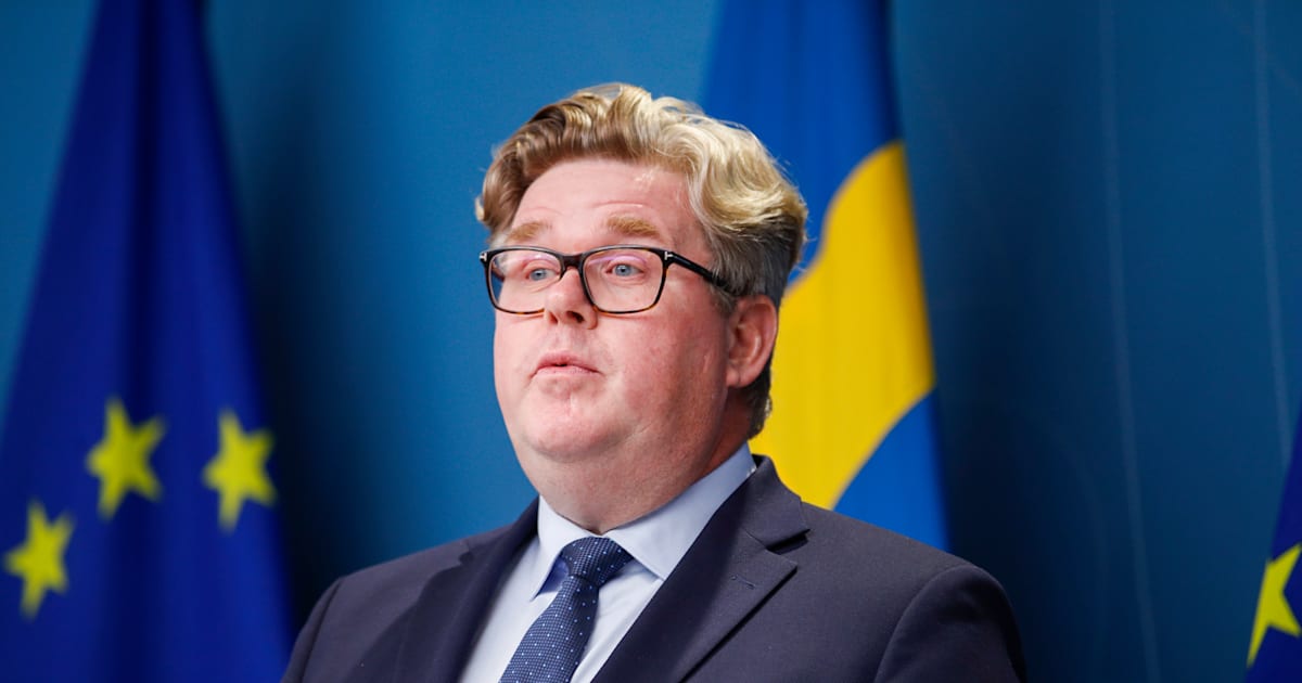 Regeringens direktiv: Ta inspiration av andra länder