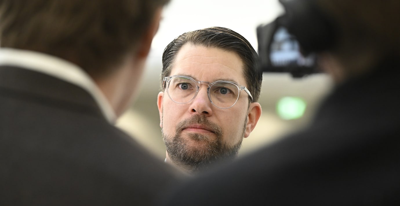 Åkesson efter utspelet: Verkar ha trampat på öm tå