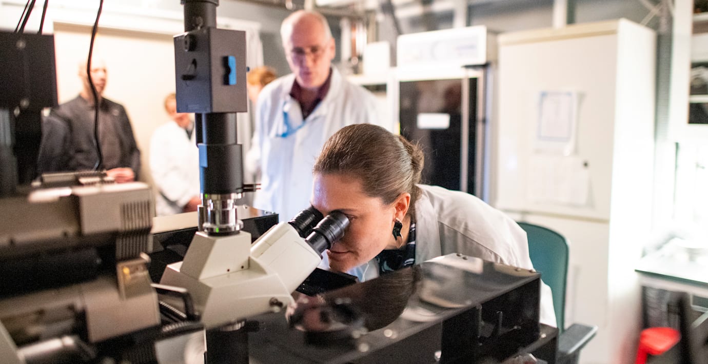 Vanligt virus kan ge svar på varför barn i Sverige får diabetes