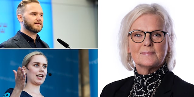 SD-topparna Linnéa och Henrik Vinge polisanmälda