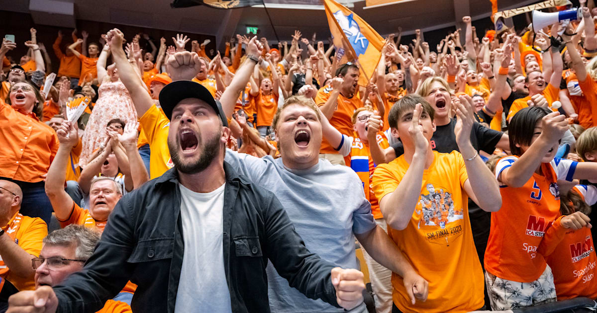 Inga tv-bolag vill sända svenska handbollsligan