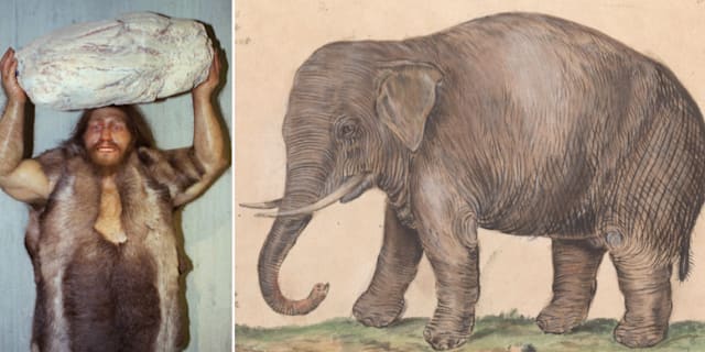 Gigantiska jaktrester ger nya svar om neandertalare