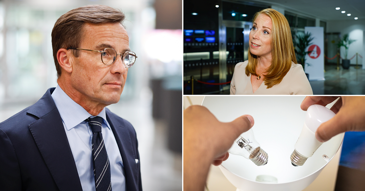 Alla partier säger nej till krav om energibesparing
