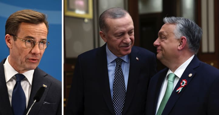 Ledare: ”Turkiet och Ungern fortsätter behandla Sverige som en lekboll”