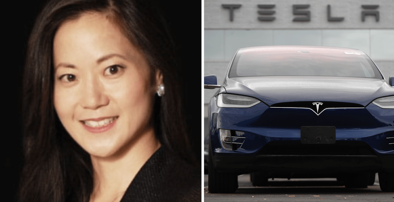 Råkade lägga i backen på Teslan – drunknade i damm