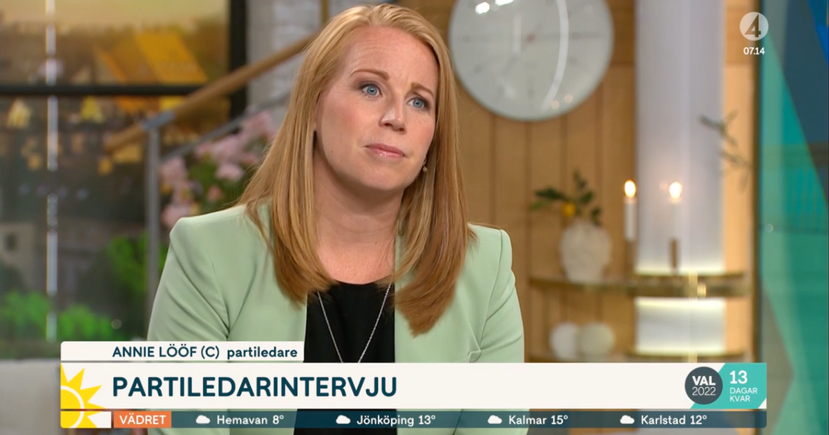 Lööf En Regering Med S Och M Vore Det Bästa För Sverige