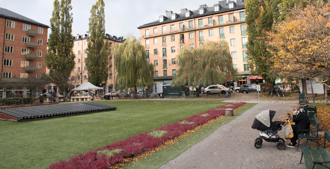 Nytorgsmannen Får Fem års Fängelse För 35 Brott
